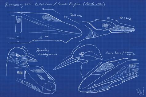 Biomimicry In Industrial Design Nature Inspired Innovation Parametric Design