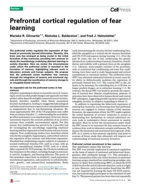 Pdf Prefrontal Cortical Regulation Of Fear Learning