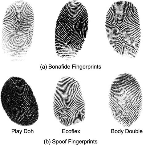 Universal Material Translator Towards Spoof Fingerprint Generalization
