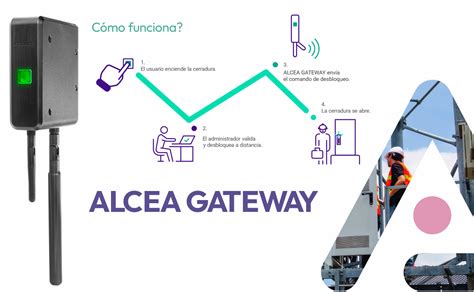 Alcea Gateway Asociación Latinoamericana De Seguridad Alas