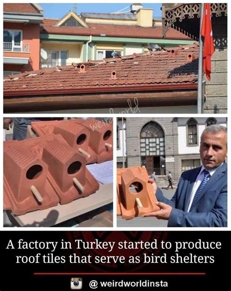 Samiullah Arain Posted On Linkedin