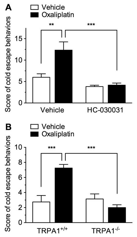 Trpa1 Is Involved In Oxaliplatin Induced Acute Cold Hypersensitivity