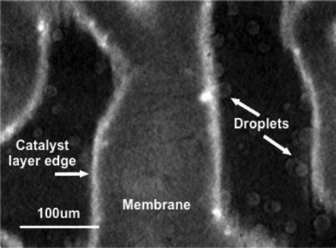 Water Droplets Seen At The Cathode Catalyst Layer Surface By 2d Inplane