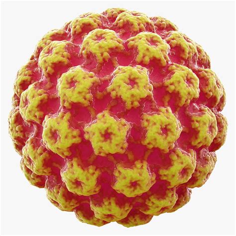 라싸 바이러스 3d 모델 25 Max Obj Free3d