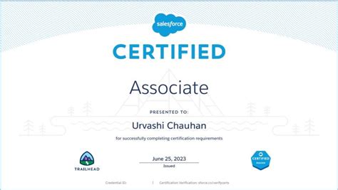 Urvashi Chauhan On Linkedin Salesforcecertified Salesforceassociate 12 Comments
