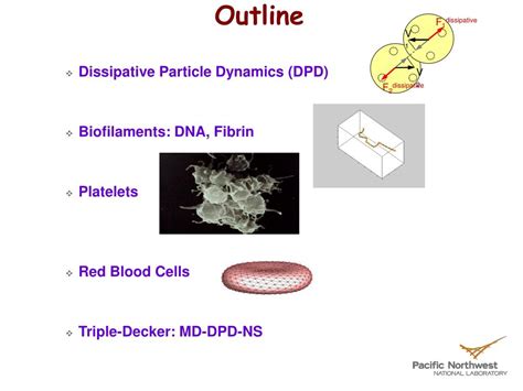 PPT Hybrid Particle Simulations An Approach To The Spatial Multiscale Problem PowerPoint