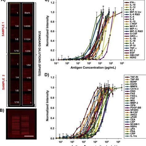 Schematic Process Flow For Three Sandwich Assay Formats Namely The Download Scientific Diagram