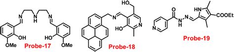 Chemical Structures Of Probe 17 19 Redrawn The Chemdraw Structure