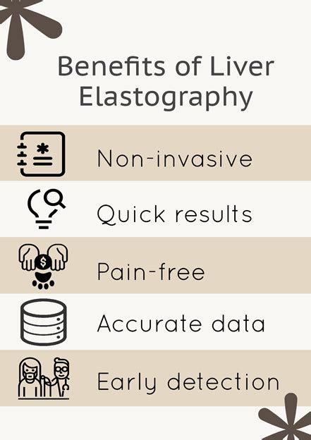 What Is Liver Elastography Breaking Down The Essentials For Beginners