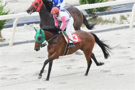 Images Of Japaneseclass Jp