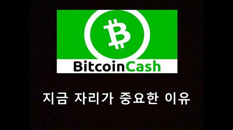 비트코인캐시 지금 자리가 중요한 이유 꼭 보셔야 합니다 Youtube