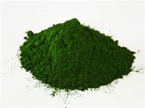 Organic Biofertilizers And Biostimulants Composed Of Algae Allmicroalgae