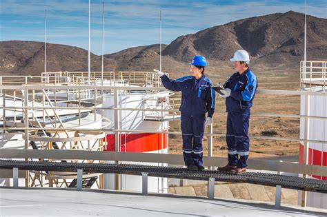 Дэвшилтэт технологи нэвтрүүлэн ажиллав Петровис групп