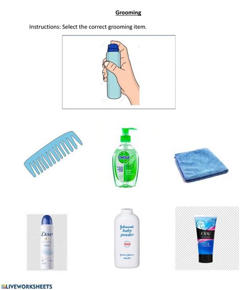 Groomingidentify Products Worksheet School Safety Personal Hygiene School Subjects