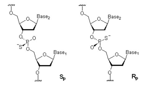 Sulfur Modified Phosphorothioate Linkages In Bacterial Dna Trilink