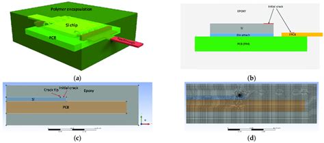 Finite Element Method Fem Model Of The Biocompatible Package A