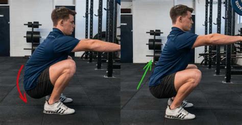 What Is Butt Wink And How To Fix It Warrior Fitness Adventure