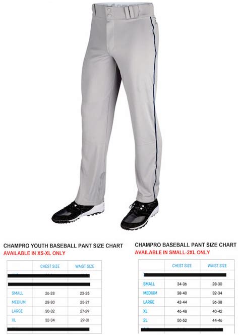 Grey Champro Open Bottom Baseball Pant With Navy Braid Nep9