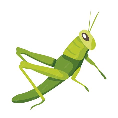 Premium Vector Cute Praying Mantis Flat Icons