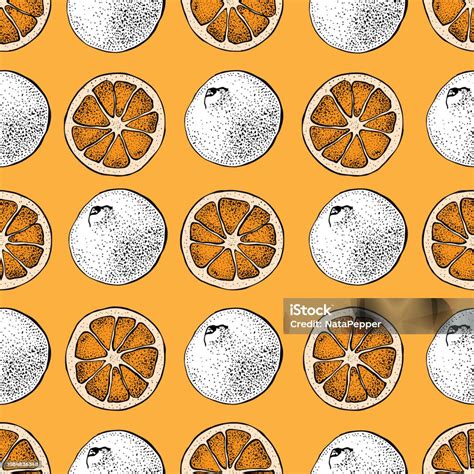 오렌지 벡터 완벽 한 패턴입니다 손 컬러 바탕에 오렌지 귤 관화의 잘라 진된 조각으로 개체를 그려 여름 감귤 스타일 그림 낙서 자세한 채식 음식 밑그림입니다 0명에 대한
