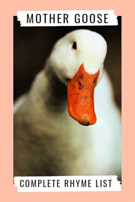 Mother Goose Rhymes List Mommy Evolution