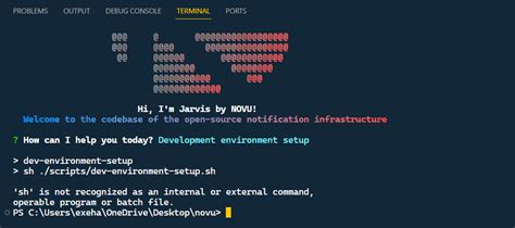 I Tried Running Localhost Server Novu