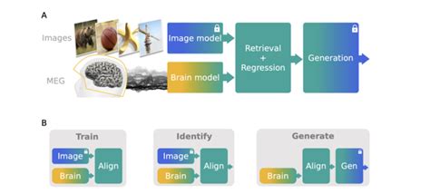 Brain Decoding Toward Real Time Reconstruction Of Visual Perception