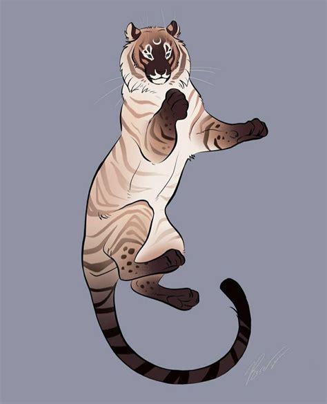 Tiger Standing On Hind Legs Drawing Tiger Ref Tiger Sona Tiger Oc