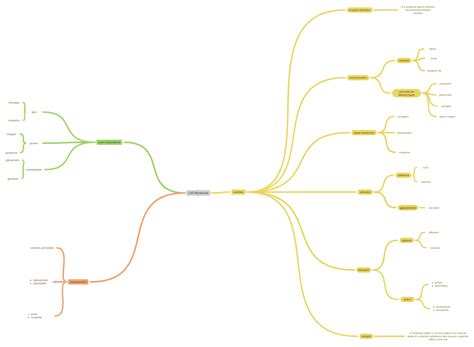 Cell Membrane Coggle Diagram