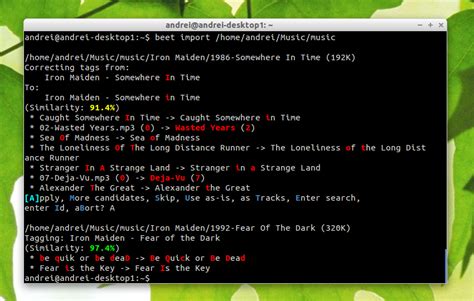Beets Music Tagger Command Line Tool To Fix Metadata And Organize Your Music Library Web Upd