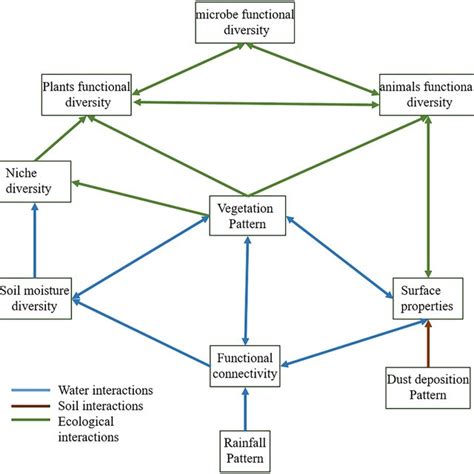 Conceptual Model Of Ecosystem Diversity Essential Variables Linking
