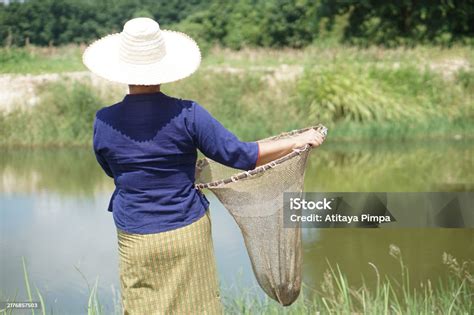 아시아 여성 농부는 모자를 쓰고 연못에 서서 음식을 위해 물고기를 잡는 전통 장비를 들고 있습니다 개념 자연에서 생계를 벌다 태국의 현지 라이프스타일 시골 생활 라이프스타일