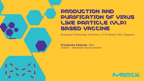 Production And Purification Of Virus Like Particle Vlp Based Vaccine Pdf