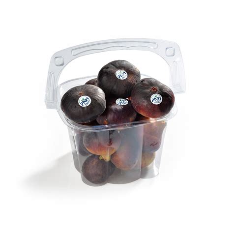 انجیر سیاه واردات و صادرات میوه از ایران