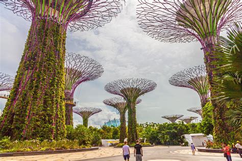 In Pictures Singapores Surreal Supertree Grove And Cloud Forest