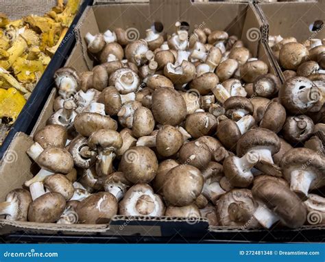 Close Up View Of Whole Mushrooms For Sale Inside A Grocery Store Stock