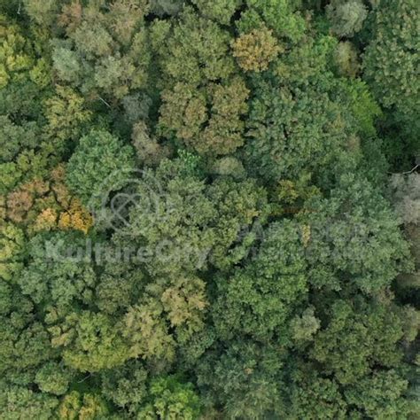 Chris Eley On Linkedin Conservation Zoo Accessibility Inclusion