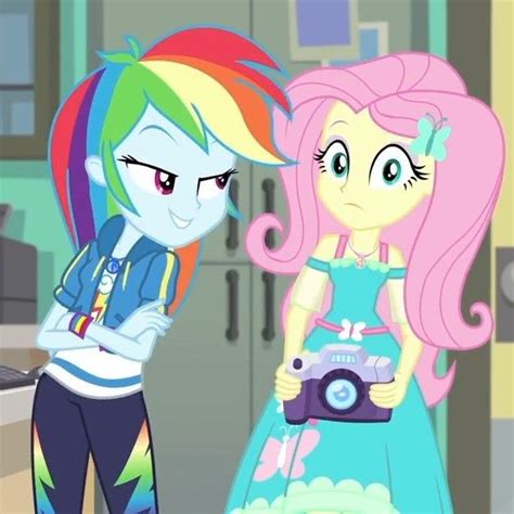 Mlp Archive On Twitter Kelebek Kaplumbağa