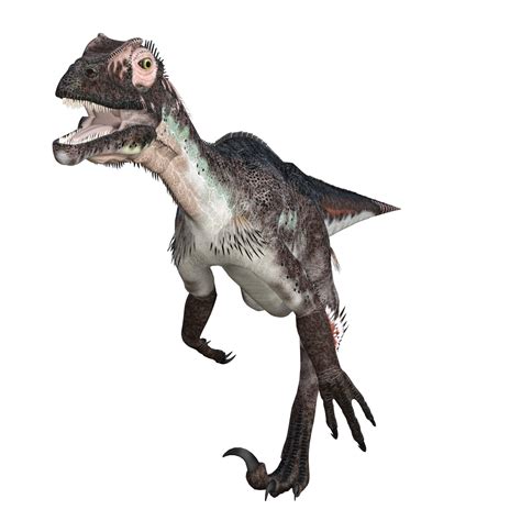 Utahraptor Dinosaur Isolated 3d Render 21013941 Png