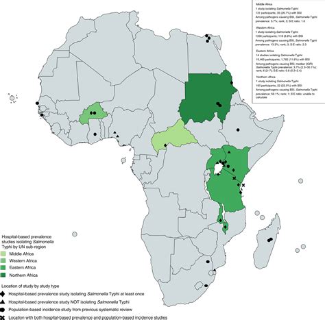 Typhoid Fever Statistics Worldwide