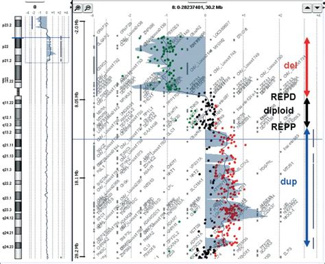 customised agilent 44k oligonucleotide array cgh analysis with the download scientific diagram