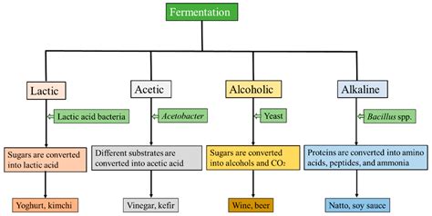 Microbial Fermentation In Food Impact On Functional Properties And Nutritional Enhancement—a