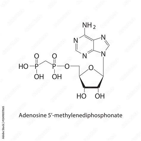 Adenosine 5 Methylenediphosphonate Skeletal Structure Nucleotide Nucleoside Compound Schematic