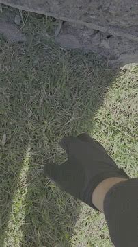 Touch Grass Grass  Touch Grass Grass Angelo Discover And Share S