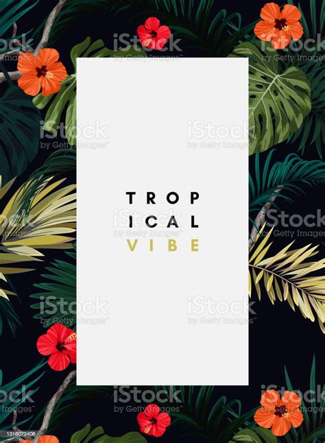 이국적인 몬스터와 로얄 야자수 잎과 붉은 히비스커스 꽃어두운 열대 디자인 벡터 그림입니다 0명에 대한 스톡 벡터 아트 및 기타