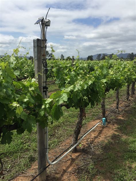 How To Dynamically Optimise Vineyard Irrigation Scheduling — Deep Planet
