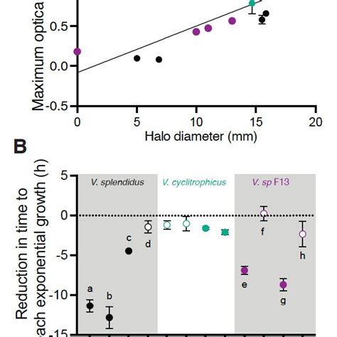 Enzyme Secretion Capabilities Govern Growth Dynamics Of Alginate