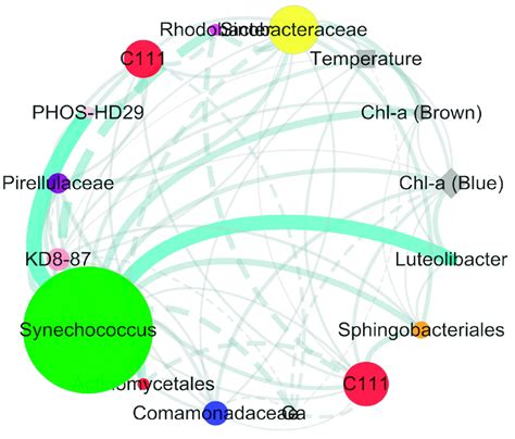 Organic Correlation Sub Network Reflecting The Pair Wise Correlations