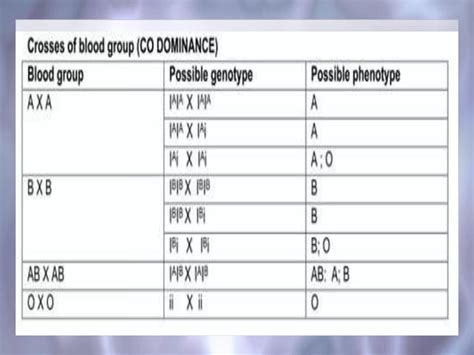 Principles Of Inheritance Class 12 Cbse Pptx