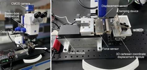 Dynamic Detection Platform With Microstructure Visual Observation